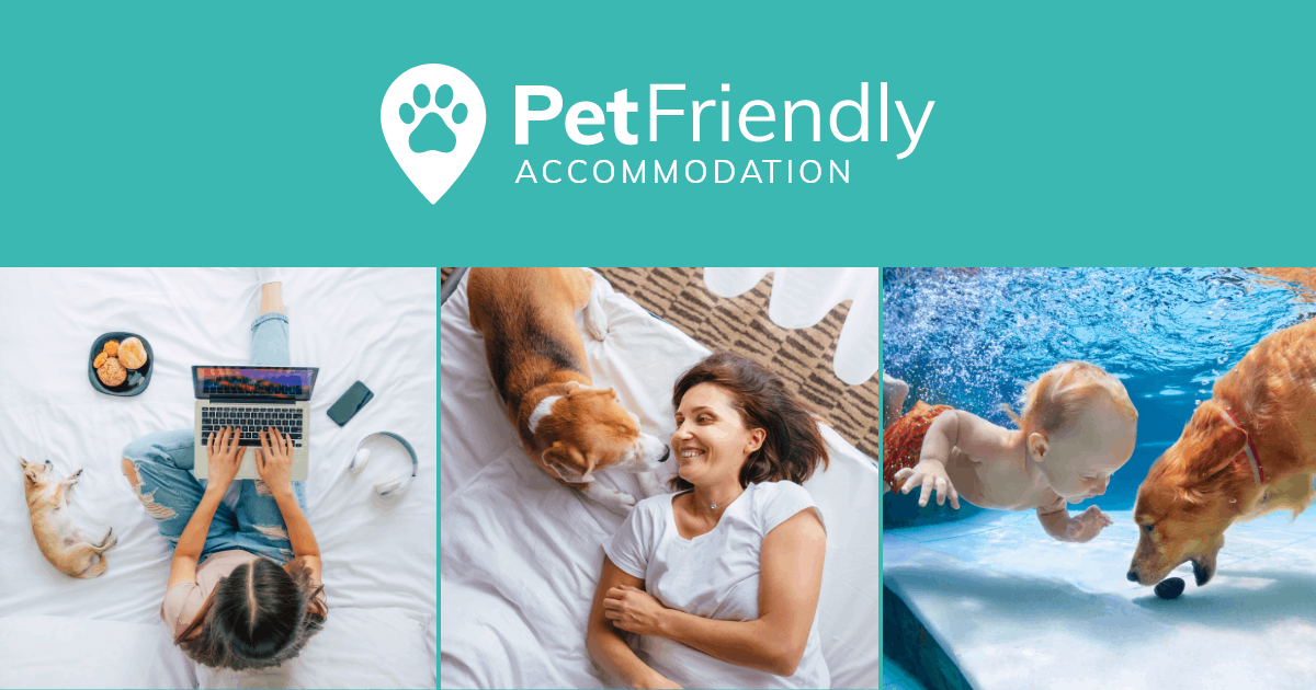 𝗣𝗲𝘁𝗙𝗿𝗶𝗲𝗻𝗱𝗹𝘆 | Amazing Pet-Friendly Vacation Rentals, Hotels, and Places ...